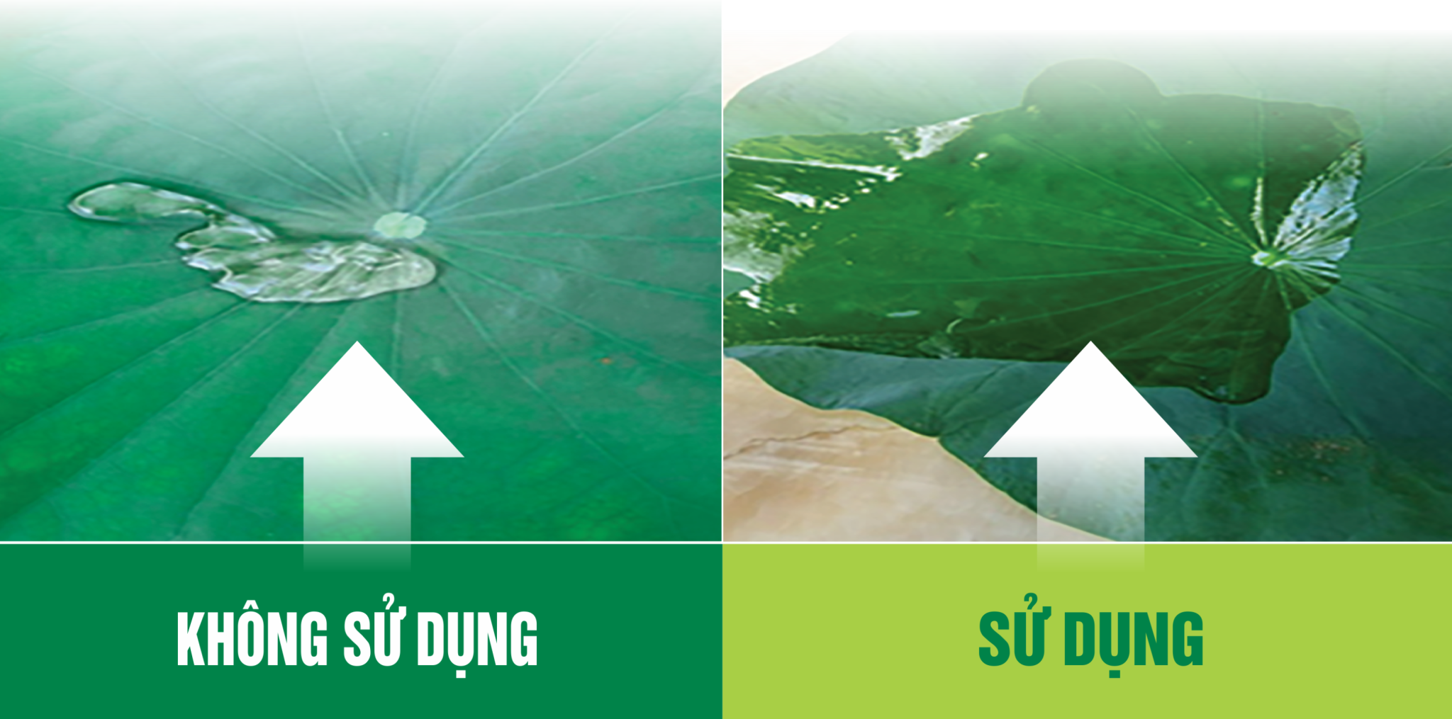 TRÂU BAY 30SL – “MẢNH GHÉP” HOÀN HẢO CHO MÁY BAY NÔNG NGHIỆP – Nicotex Fly